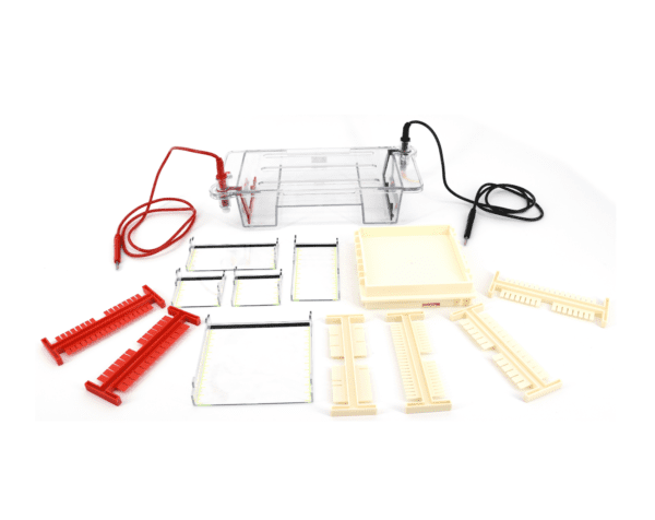 Horizontal Electrophoresis Cell